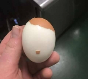 oeuf hitler - La Menace Théoriste