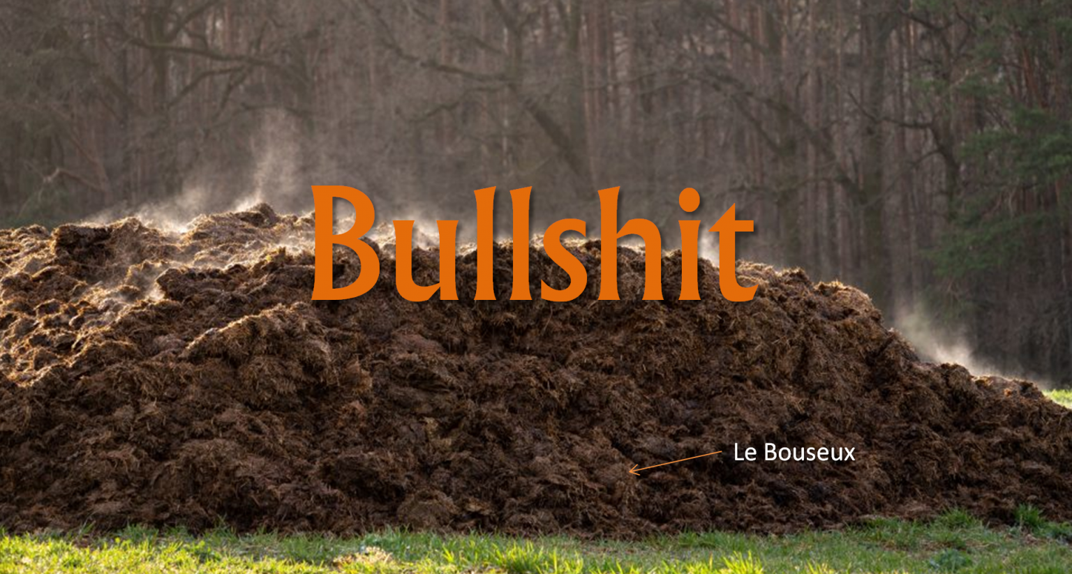 bullshit bouseux – La Menace Théoriste